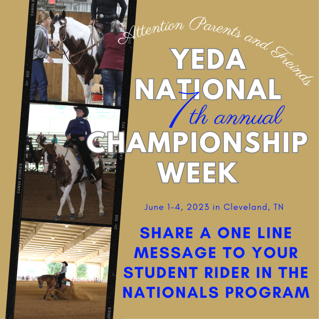 Youth Equestrian Development Association — Developing Tomorrow's Equine ...